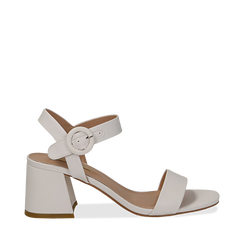 Primadonna Collection